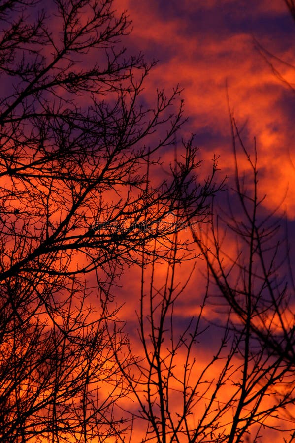 Sunrise Nature Abstract Background Stock Photo - Image of sunset ...