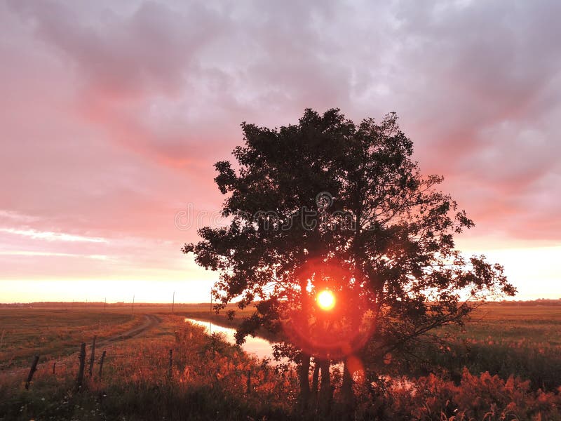 Sunrise Near River , Lithuania Stock Image - Image of yellow, morning ...