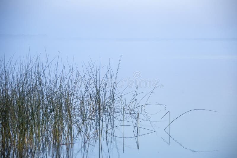 Sunrise Northern Lake stock image. Image of landscape - 205920195