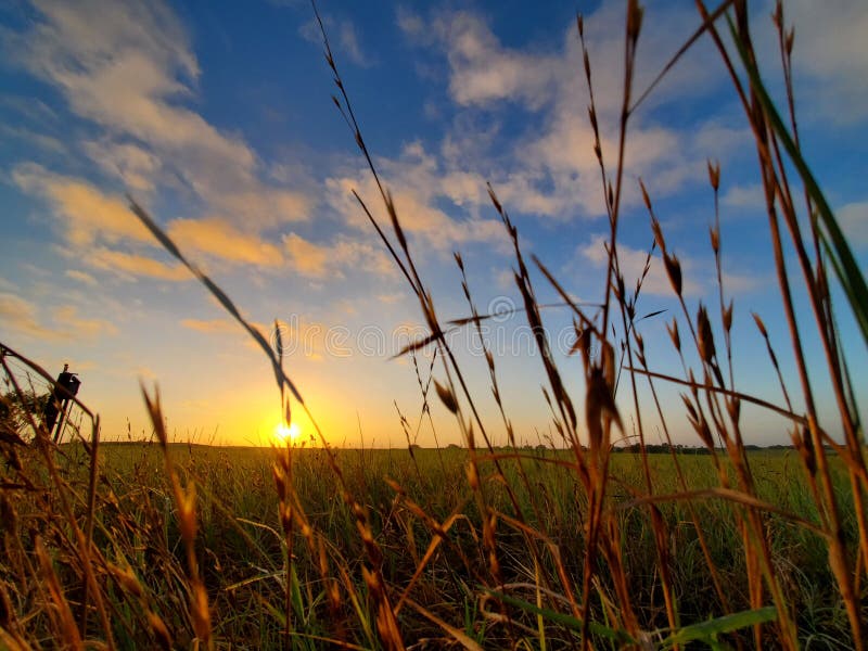 Sunrise Open Grassland, Clouds Stock Image - Image of crop, nature ...
