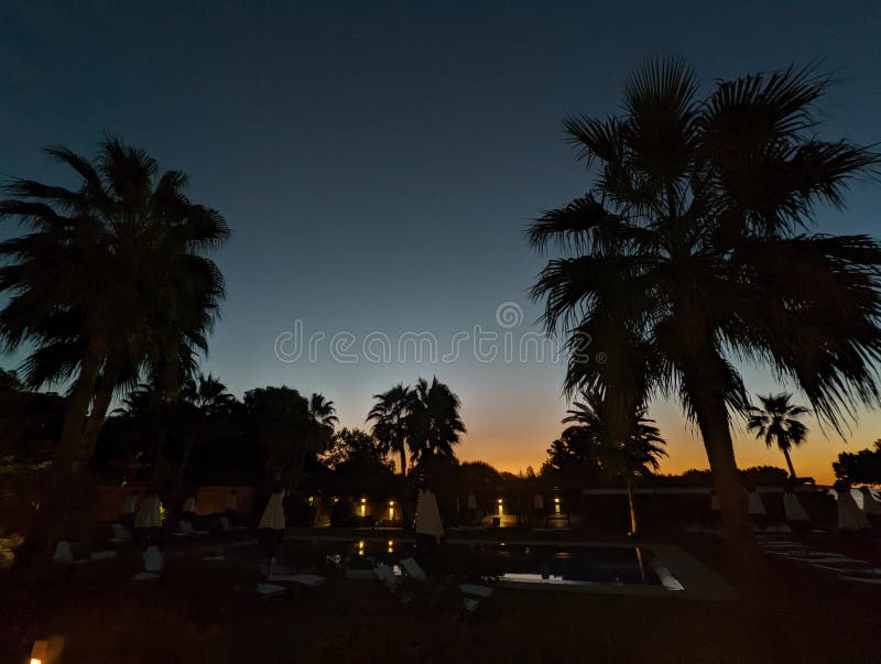 Sunrise with Orange Sky and Backlit Palm Trees Stock Image - Image of ...