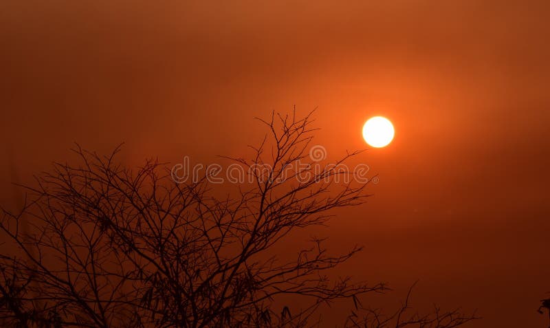 Sunrise with the Orange Sky in the Middle of the Forest Stock Photo ...