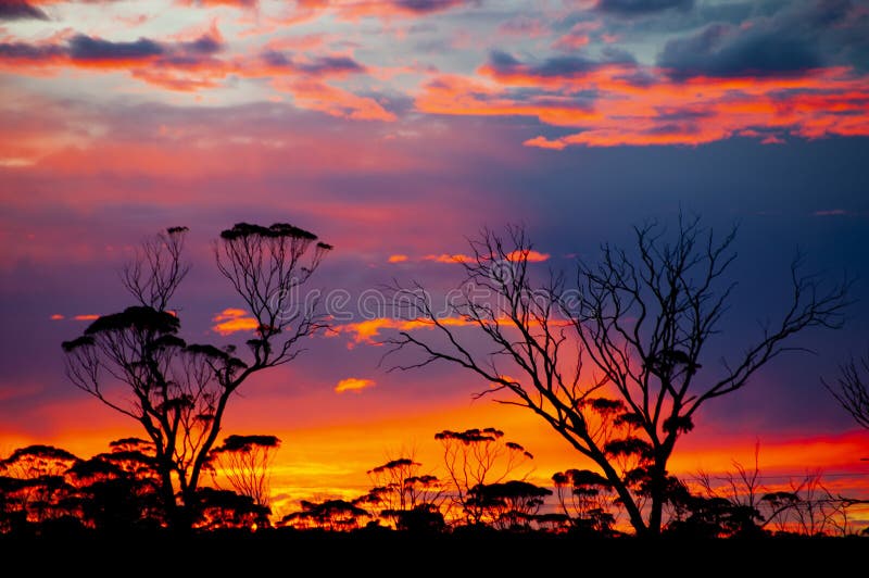 Sunrise in the Outback stock photo. Image of outback - 243563678