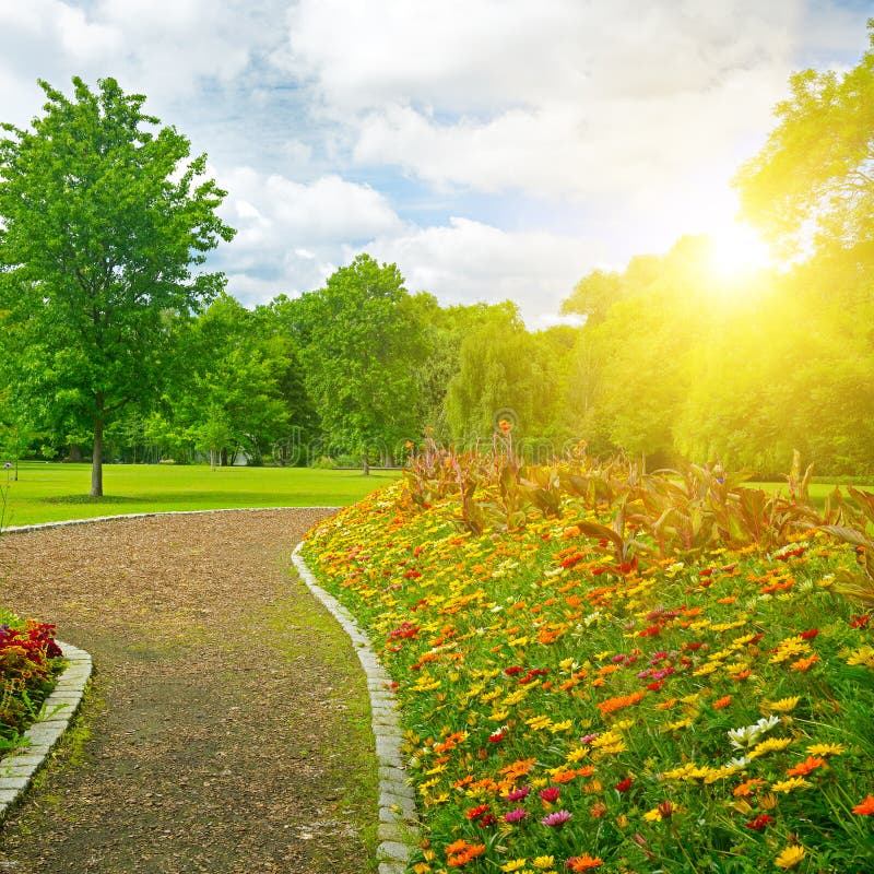 Red Flowers on Path To Heaven Stock Photo - Image of flowers, rake ...