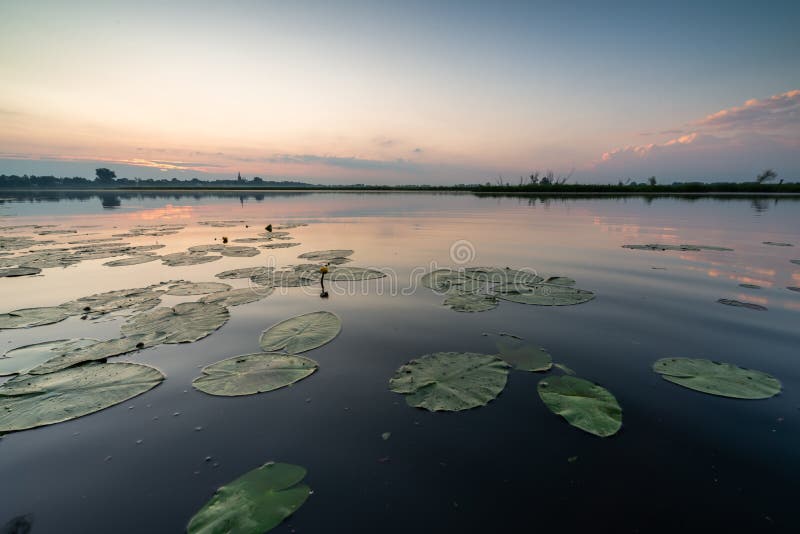 Sunrise over the bug river stock photo. Image of morning - 195012472