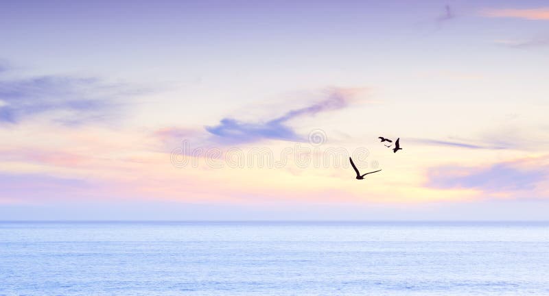 Sunrise Over a Calm Ocean. Seagulls Flying Over a Calm Ocean during ...