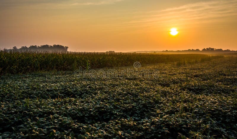 Sunrise Over Farm Fields in Rural York County, Pennsylvania. Stock ...