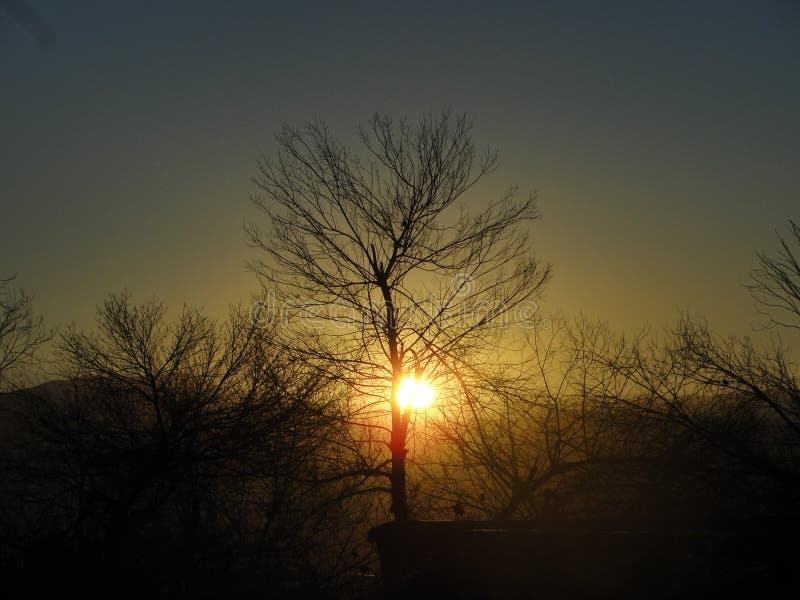 Sunrise Over a Fence, Trees, and Mountains. Stock Photo - Image of ...