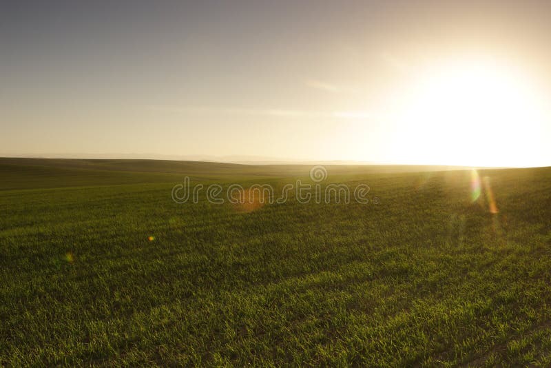 Sunrise over the field stock photo. Image of freshness - 3889186