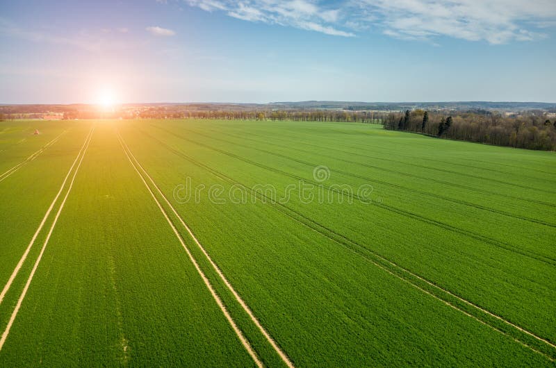 Sunrise over the field stock image. Image of pasture - 54621159