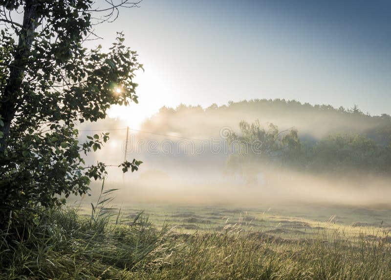 Misty Morning Sunrise in Rustical Countryside. Stock Image - Image of ...