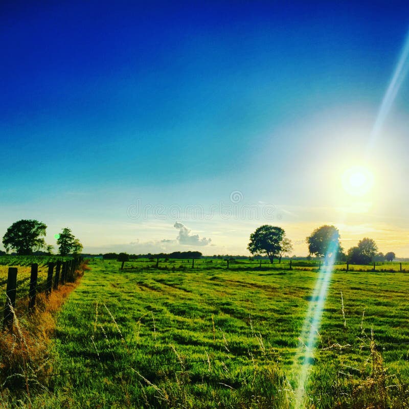 Sunrise Over Open Field stock photo. Image of nature - 28080848
