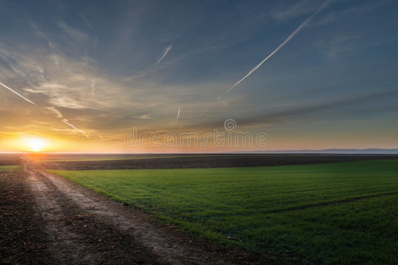 Sunrise over a field stock photo. Image of dusk, beauty - 62600600