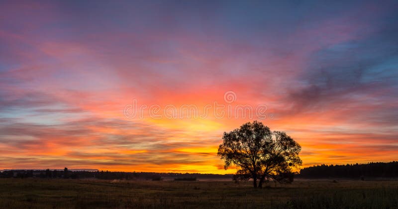Sunrise Over Field and Tree Stock Image - Image of rural, season: 189667607