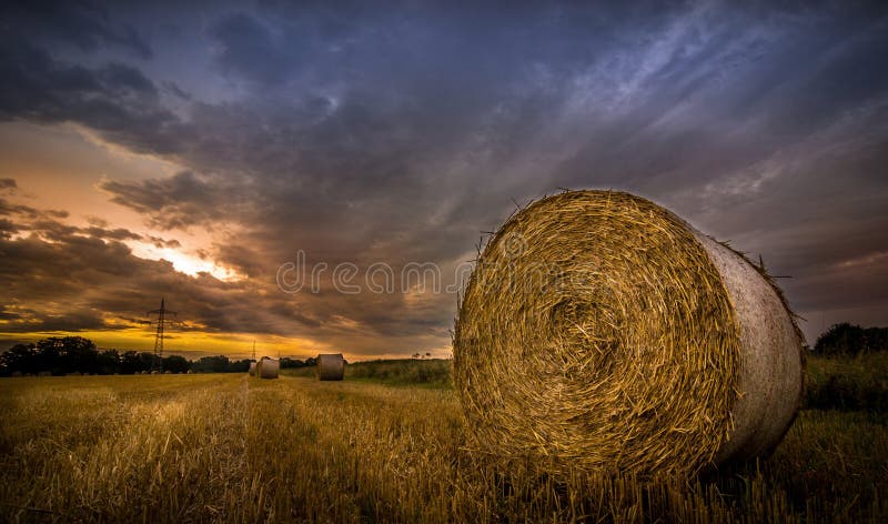 Sunrise over Fields of Hay stock photo. Image of scenic - 43321764