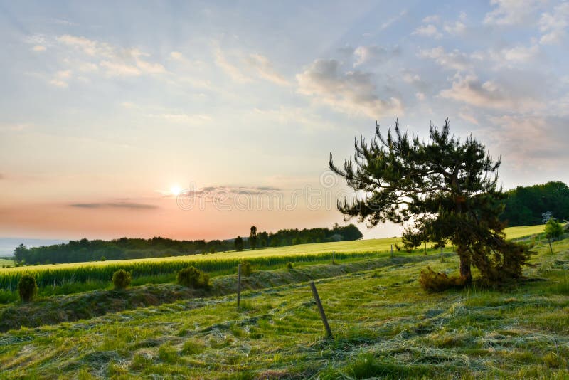 Sunrise over forest. stock photo. Image of color, cloud - 86240488