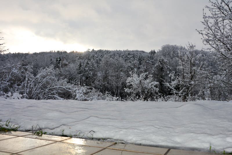 Sunrise Over a Forest with Snow and a Terrace Stock Photo - Image of ...