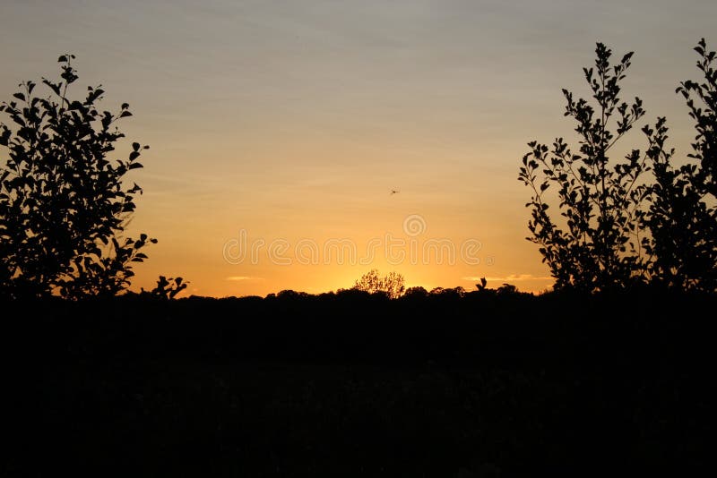 Sunrise Over a Grass Meadow with Trees Stock Photo - Image of ...