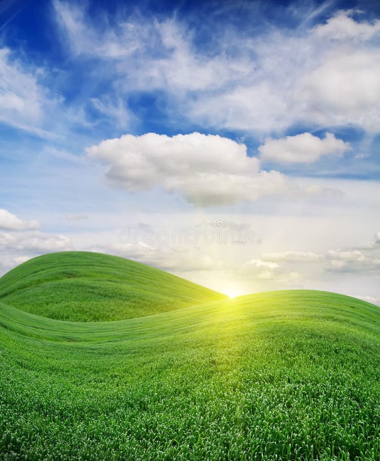 Sunrise over Green Field stock photo. Image of green - 21752236