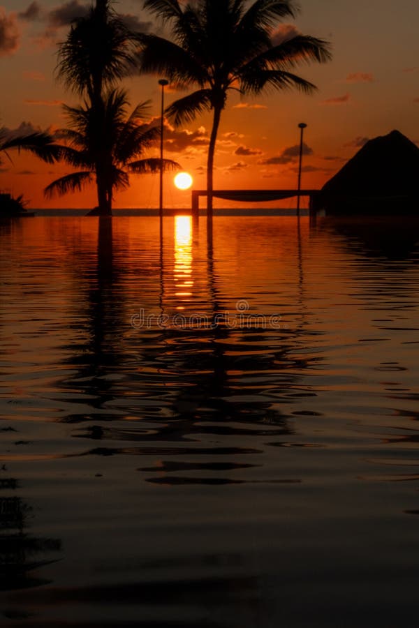 Sunrise Over the Gulf of Mexico Reflected into the Infinity Pool at the ...