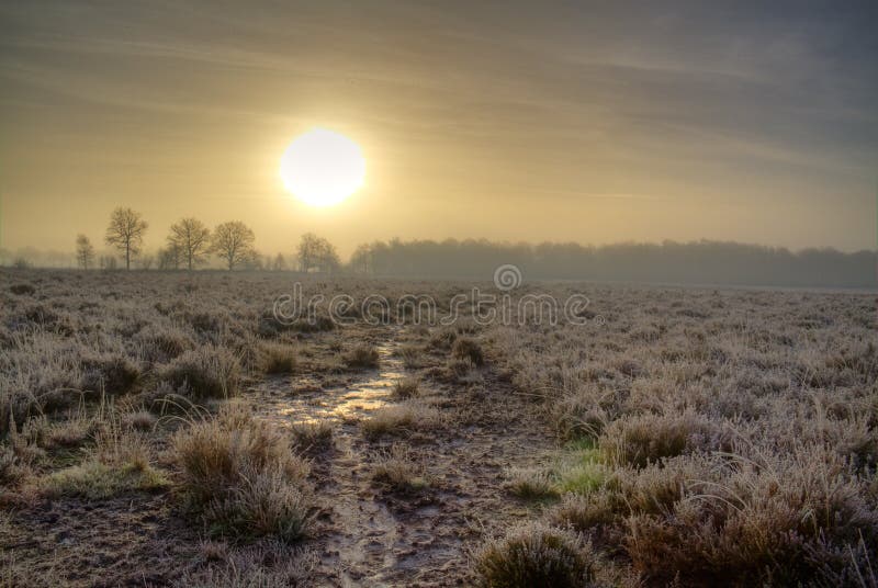 Sunrise over frosty heath stock photo. Image of field - 35705932
