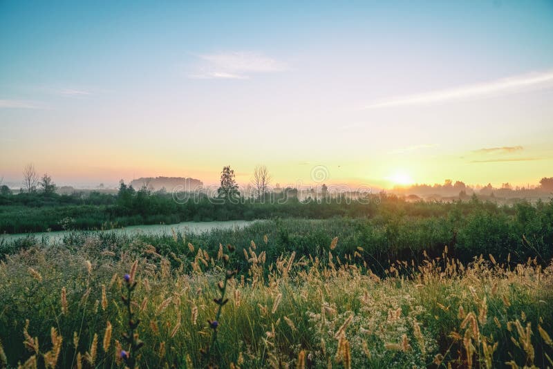 Sunrise Over Meadows on Summer Morning Stock Photo - Image of cloud ...