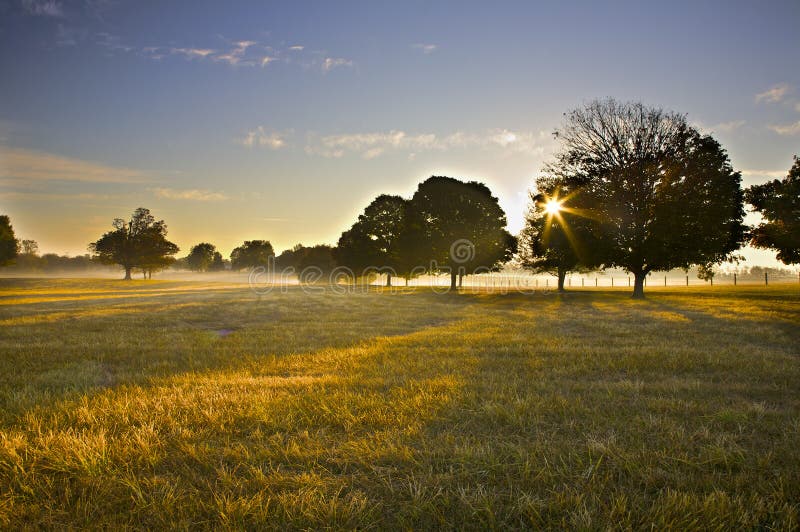 Open Field At Sunset 16,671 Open Field Sunset Stock Photos Free