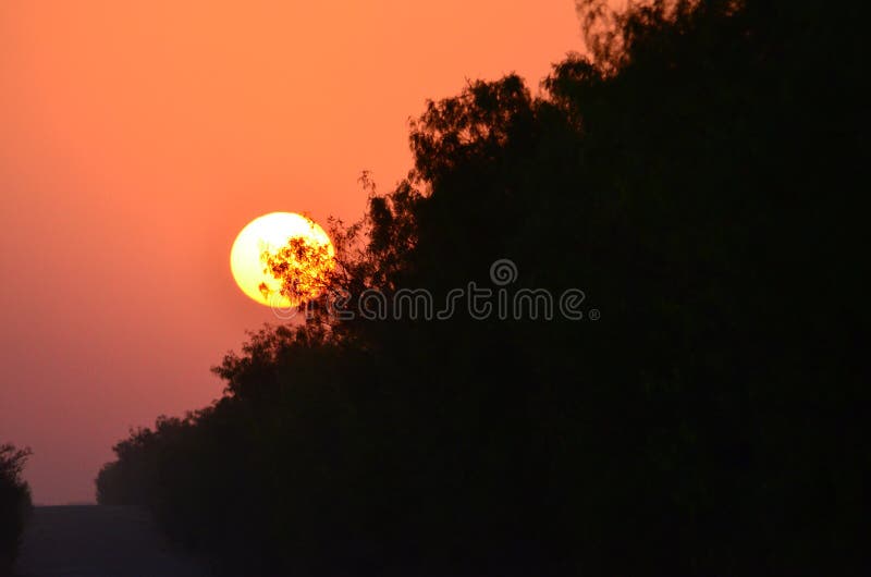 Sunrise over the Ranch stock photo. Image of sunshine - 89037144