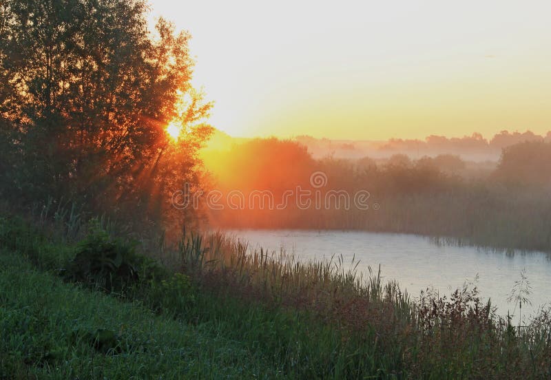 Sunrise Over the River in Summer. Stock Image - Image of grassy ...