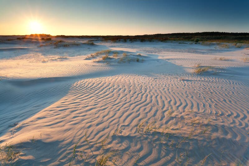Sunrise over sand dunes stock image. Image of view, contrast - 48710141