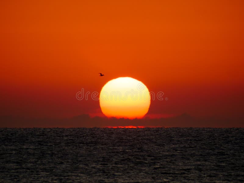 Sunrise over sea stock photo. Image of beach, rising - 225730846