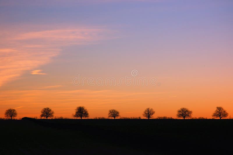 Seven Trees Bordering a Road Stock Photo - Image of green, cumulus ...
