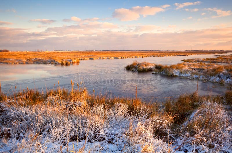 Frozen swamp in Drenthe stock photo. Image of seasonal - 29157614