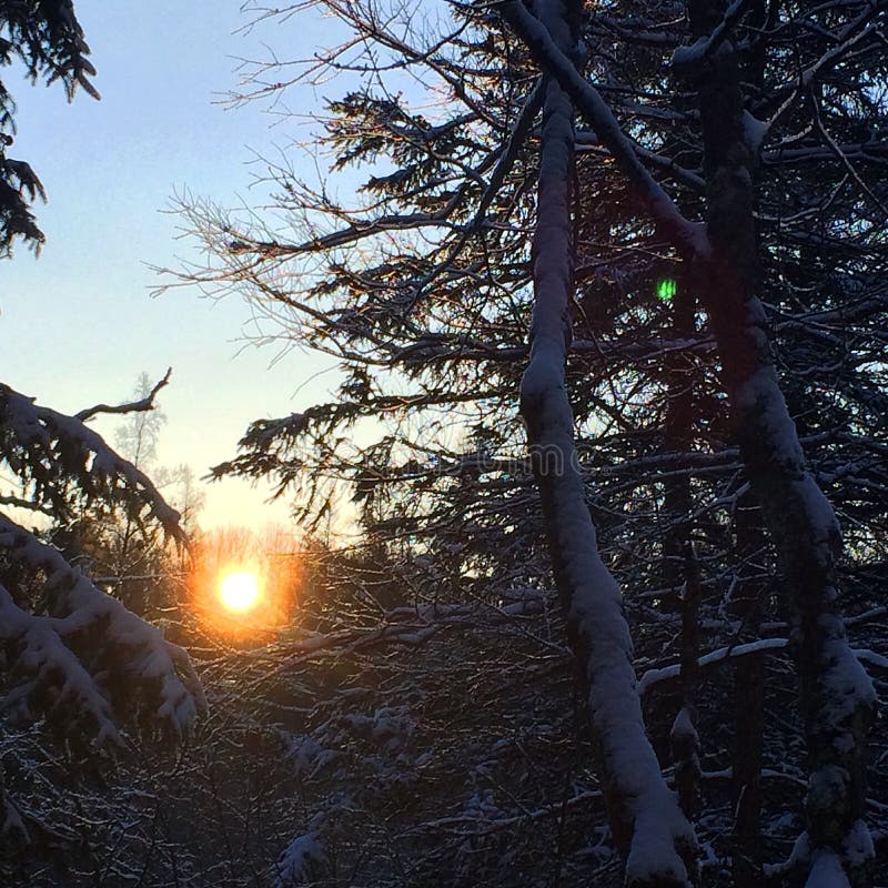 Sunrise over Swamp stock photo. Image of winter, sunrise - 49838514
