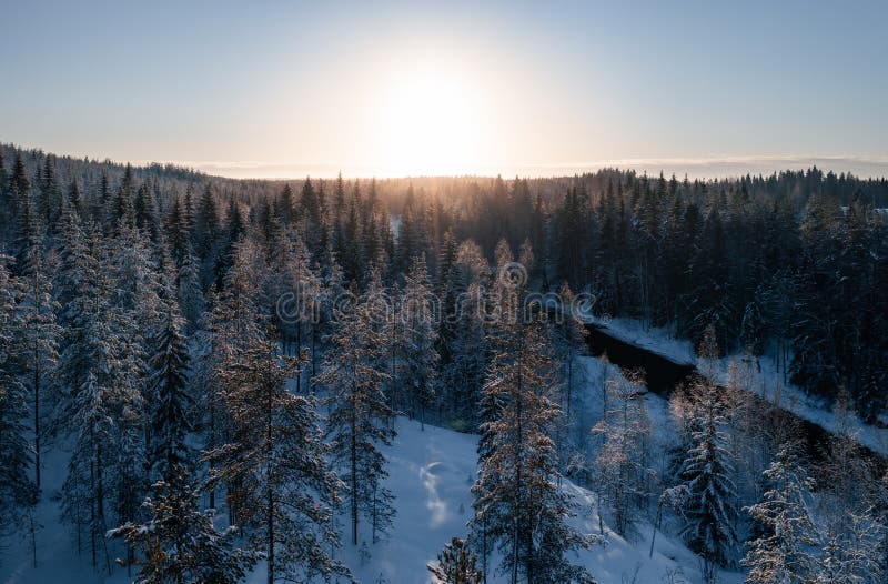 Sunrise Over Taiga Landscape. Boreal Forest Stock Image - Image of ...