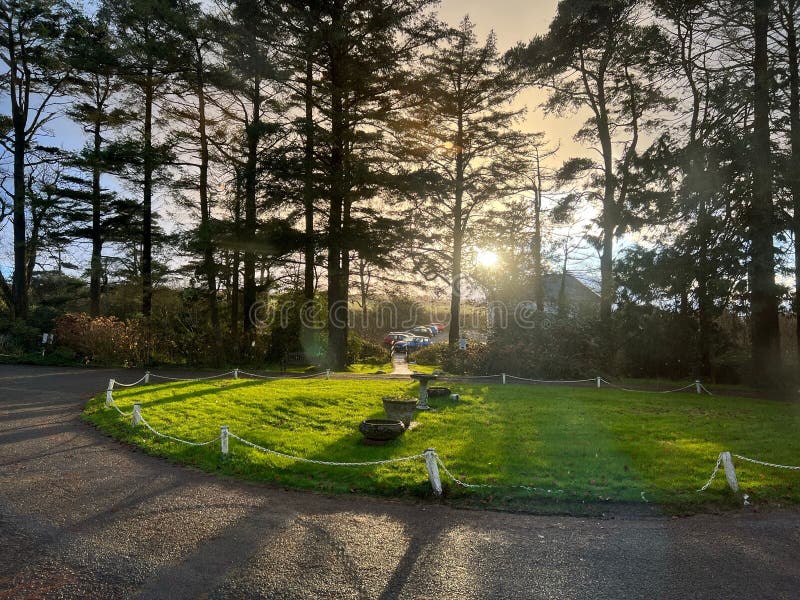 Over a Tranquil Park Setting Featuring Lush Trees Stock Image - Image ...