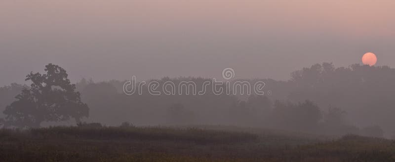 Sunrise Over a Tree Line in the Morning Mist Stock Image - Image of ...