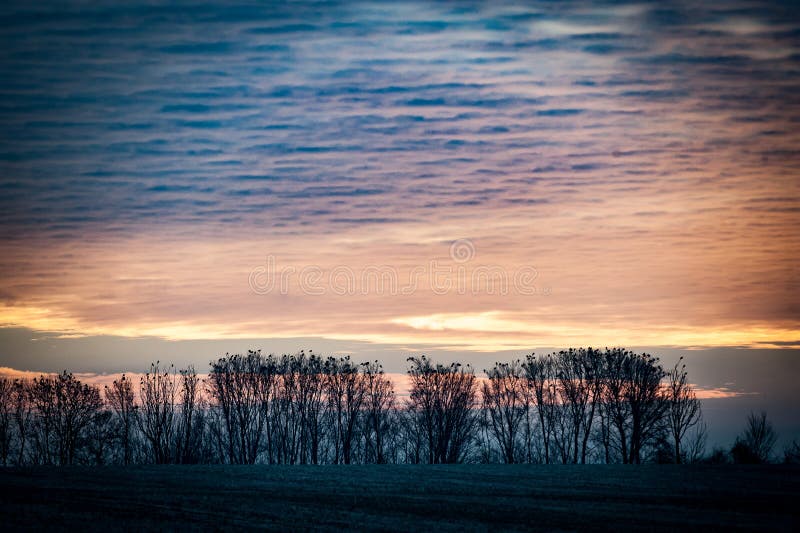 Sunrise over trees stock image. Image of environment - 65288477
