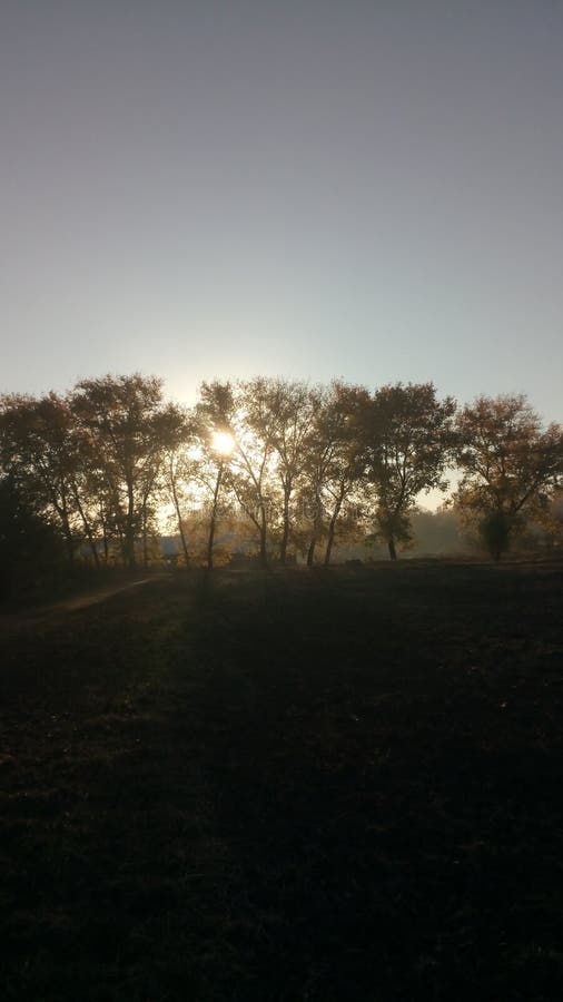 Sunrise over the trees stock image. Image of nature - 129228029