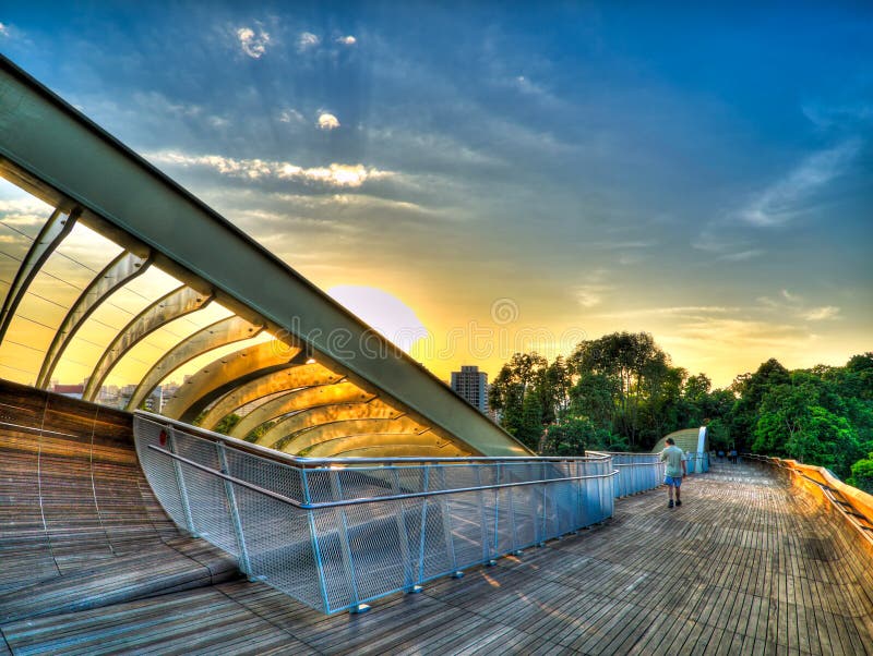 Sunrise Over Treetop Boardwalk Stock Photo - Image of arches, bridge ...