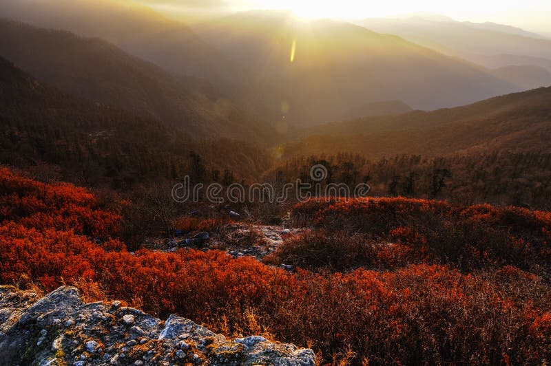 Sunrise Over Valley, Lungthang, Sikkim Stock Photo - Image of ...