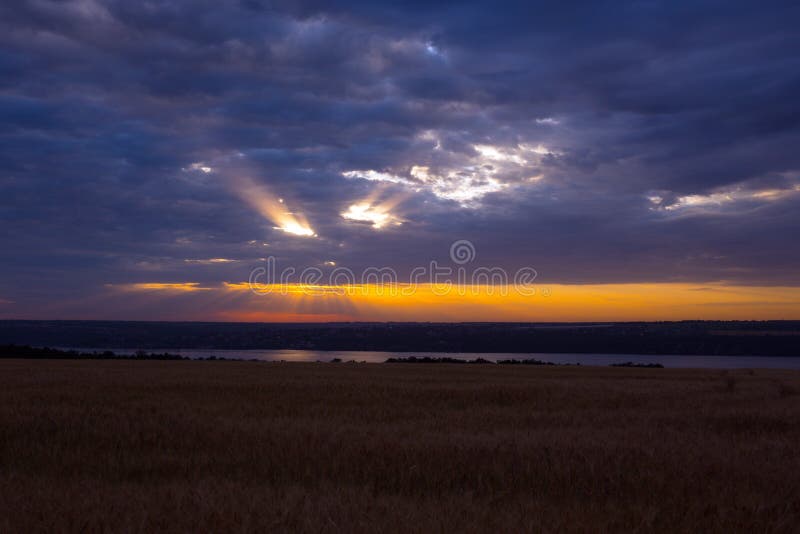 Sunrise Over the Wheat Field Stock Photo - Image of countryside, nature ...