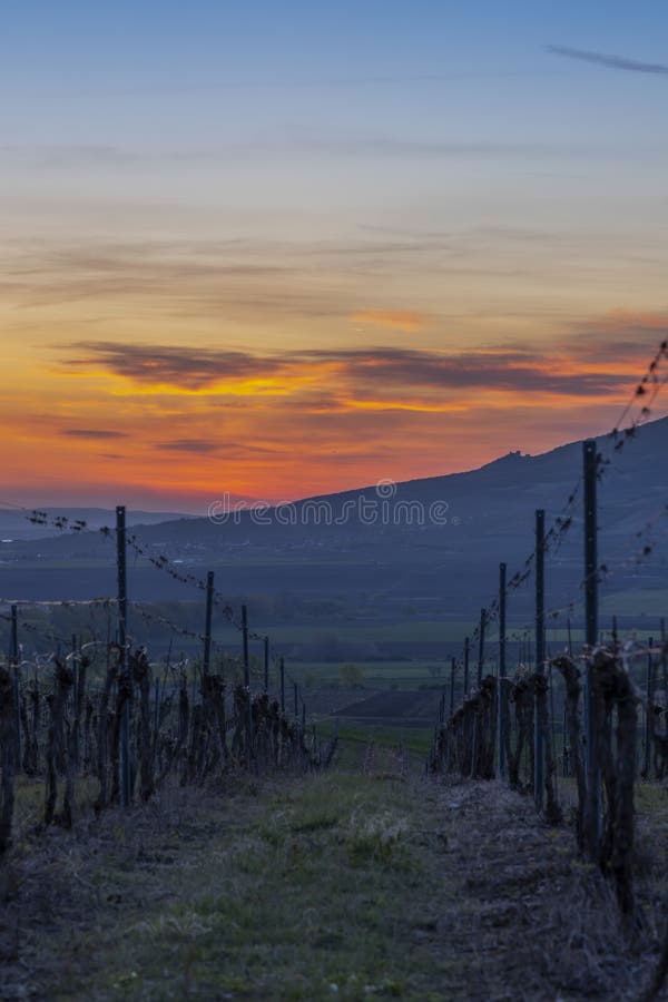 Sunrise in Palava with Devicky Ruins, Southern Moravia, Czech Republic ...