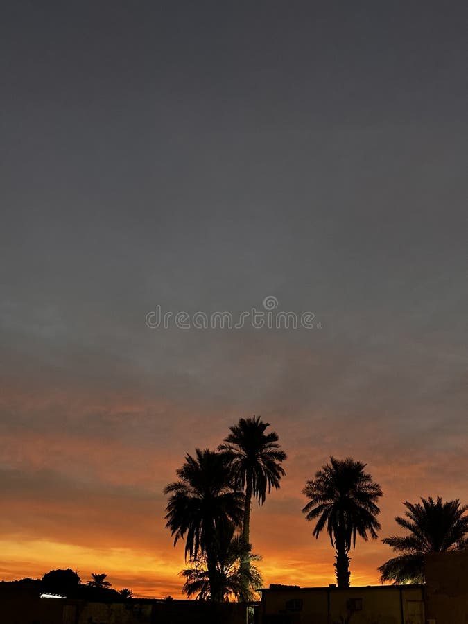 Sunrise stock image. Image of tree, horizon, sunlight - 271353371