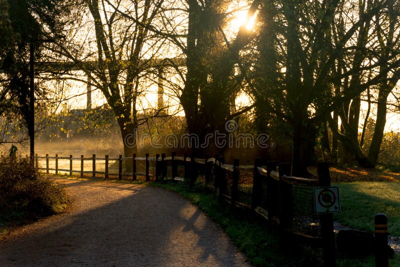 Sunrise in Park with Sun Rays Glowing between Trees Stock Image - Image ...