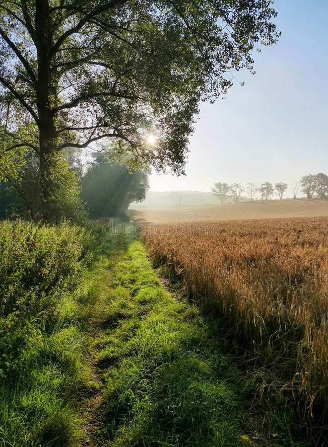 Sunrise Path Stock Photos - Download 51,780 Royalty Free Photos