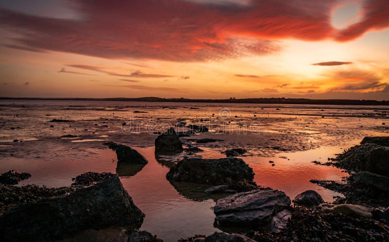 Sunrise at Penrhos Nature Park, Anglesey Stock Image - Image of sunset ...