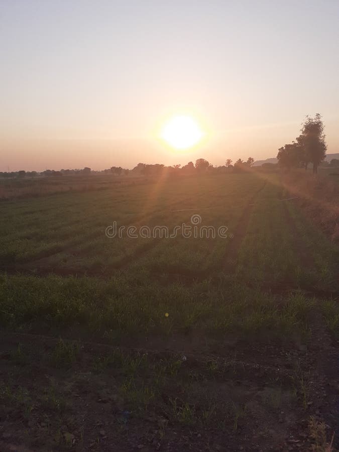 Sunrise Photo , it& X27;s a Original Nature Photo with Grass. Stock ...