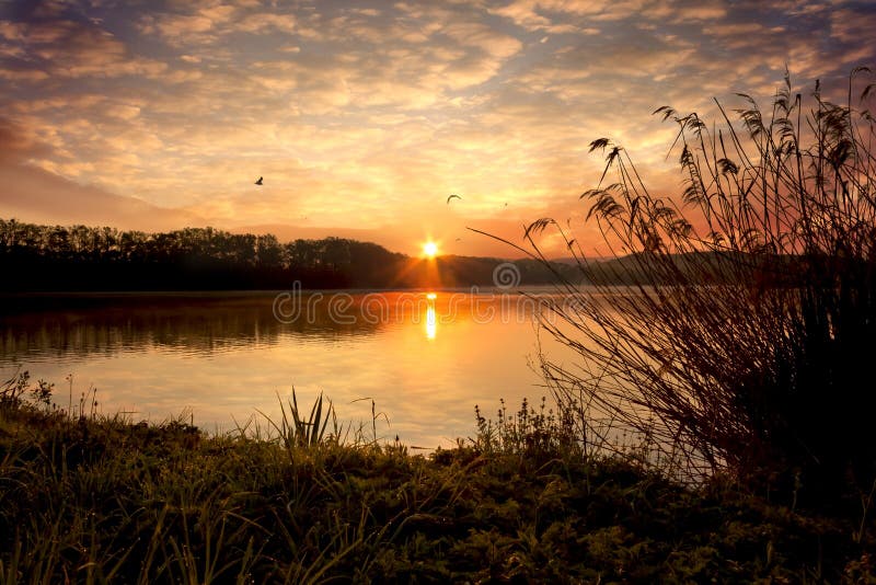 Sunrise on the Pond stock image. Image of houston, dawn - 221793
