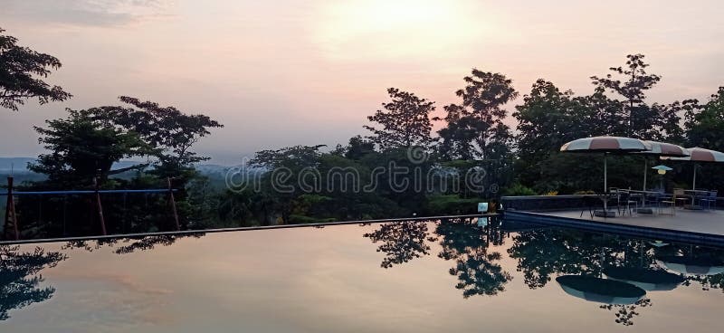 Sunrise by the Pool with Palm Trees Stock Photo - Image of holiday ...